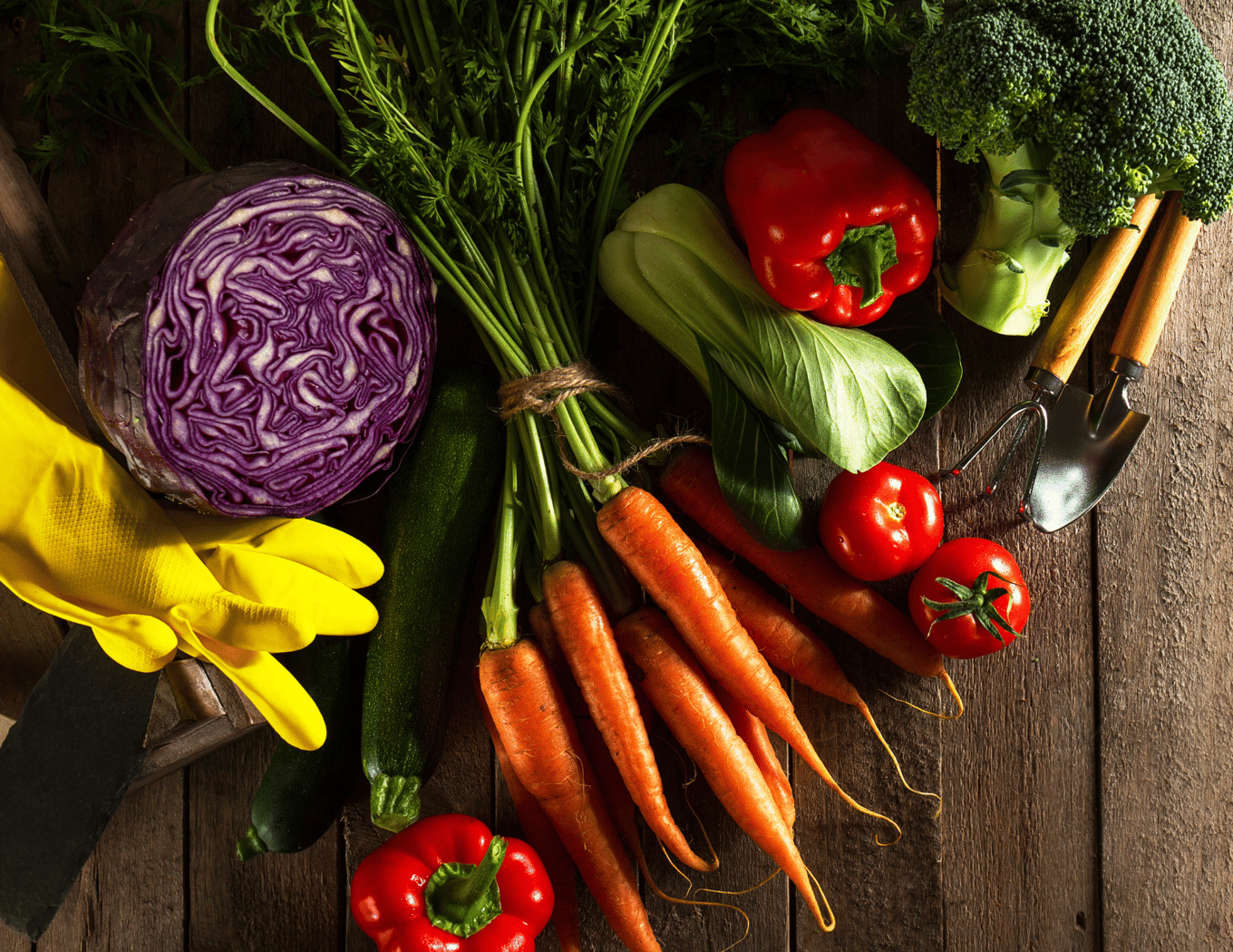 Vegetable Project List